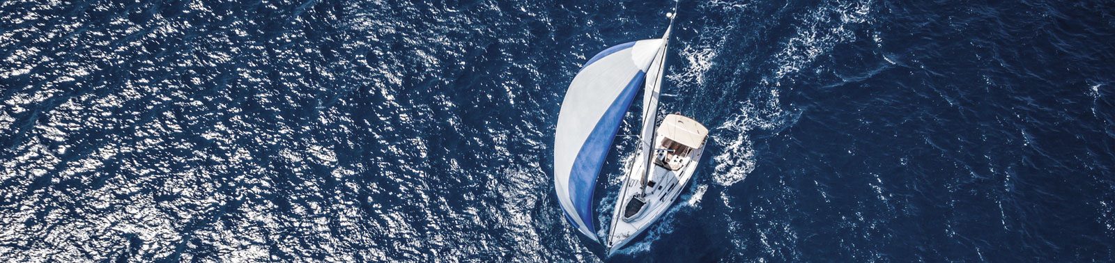 Our Team - Alphinity