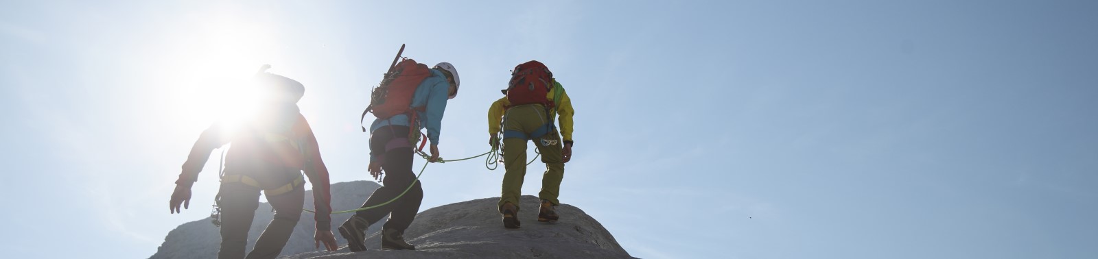 Our Team - Alphinity