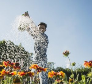 About Us - Alphinity